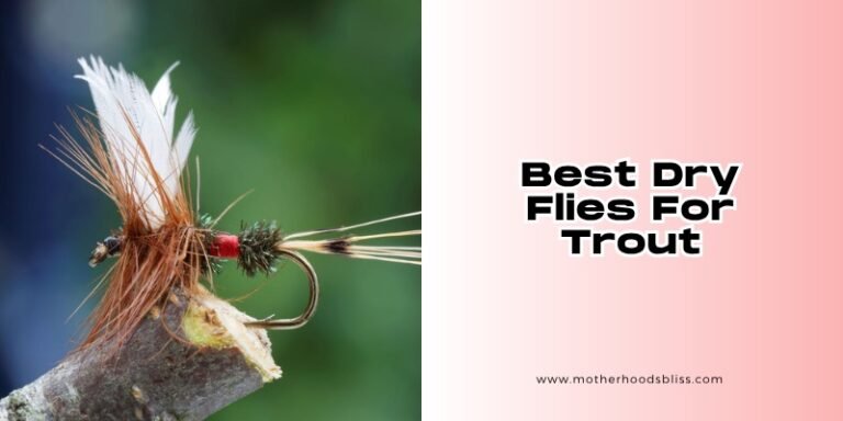 10 Best Dry Flies For Trout Of 2026 - Motherhood’s Bliss