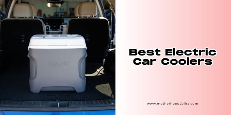 8 Best Electric Car Coolers In 2026 – Reviews And Guide - Motherhood’s ...